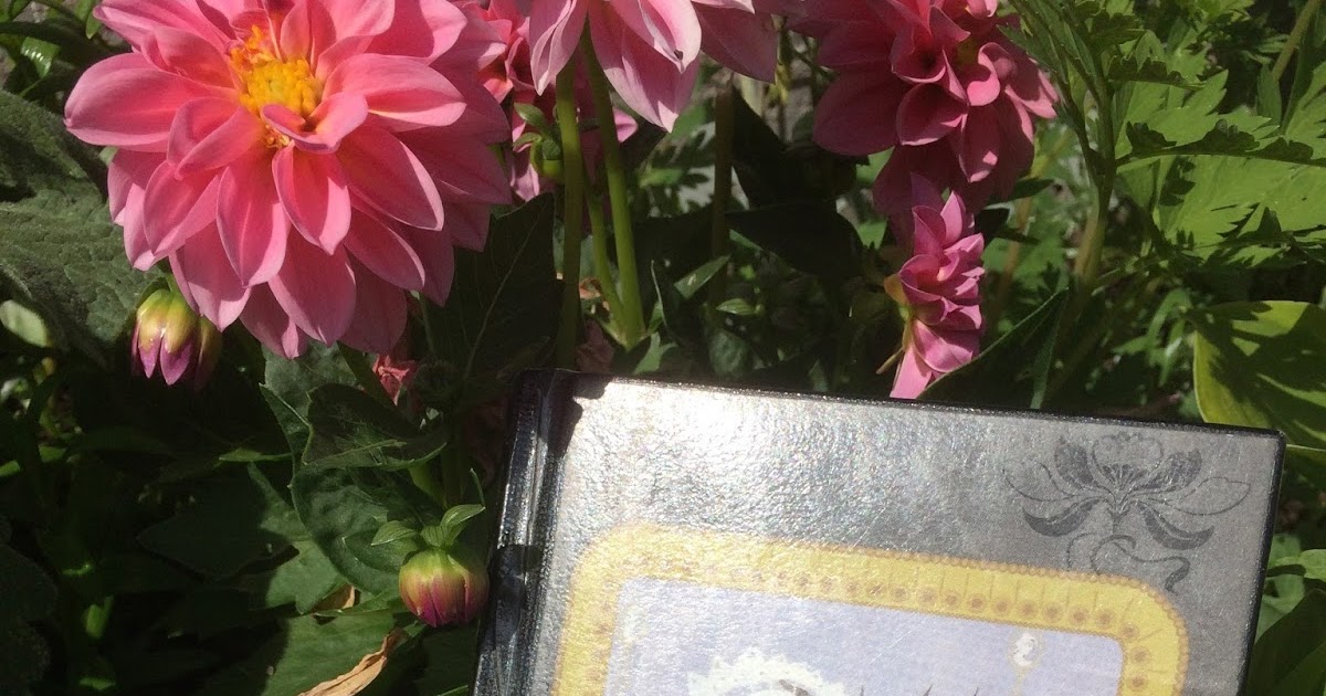 Kirjasähkökäyrä: Kiba Lumberg: Musta perhonen